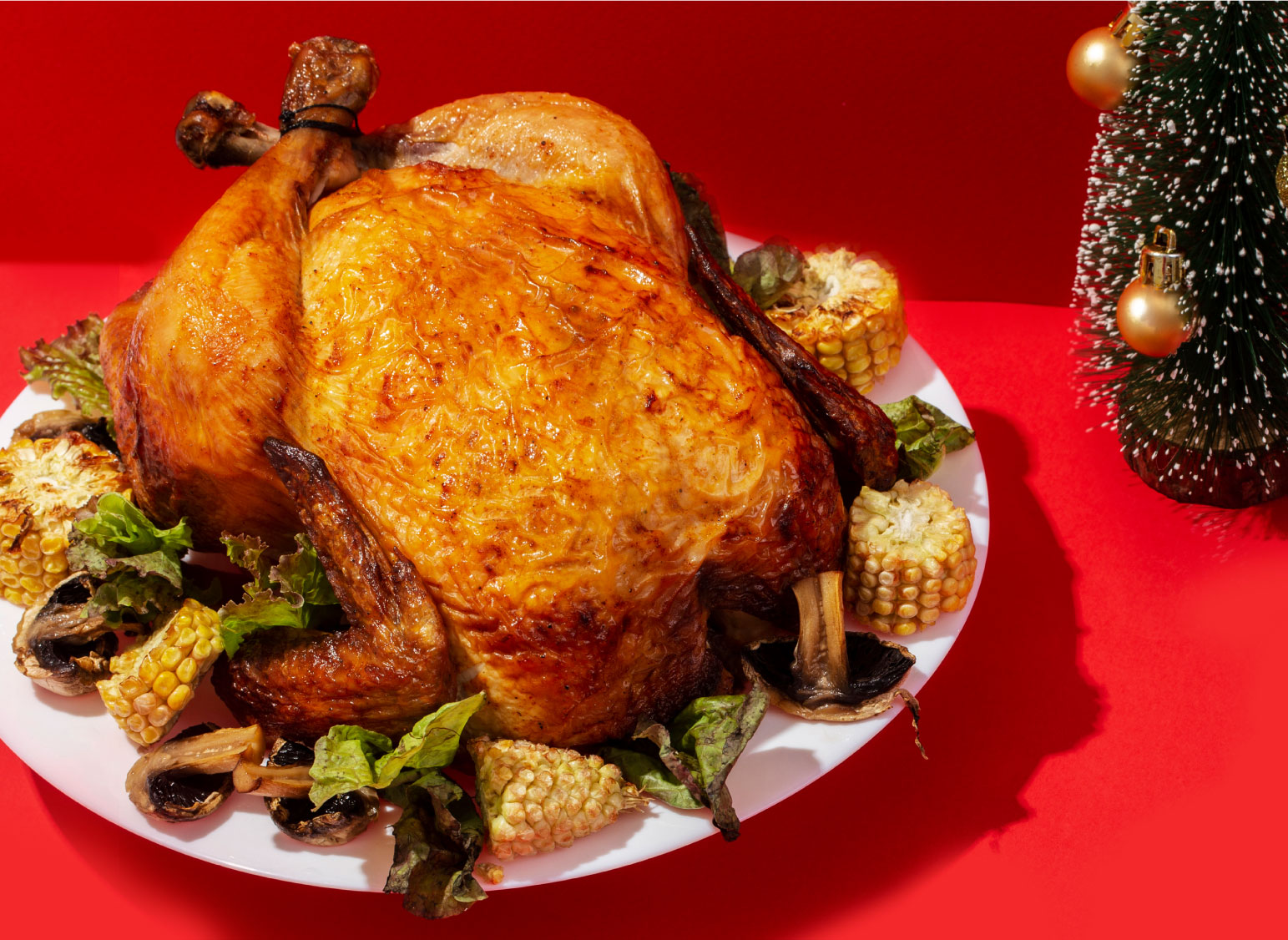 Order Thanksgiving & Christmas Turkey Online | Equatorial Ho Chi Minh City